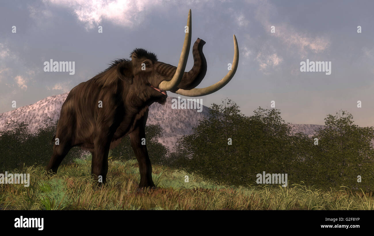 Prehistoric mammoth hi-res stock photography and images - Alamy