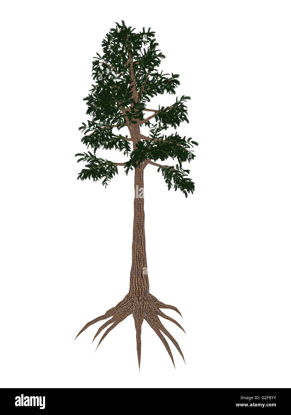 Late devonian period hi-res stock photography and images - Alamy