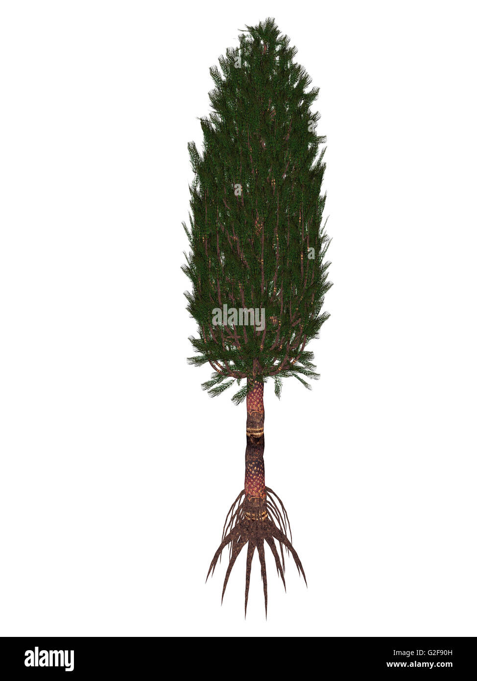 Extinct Trees