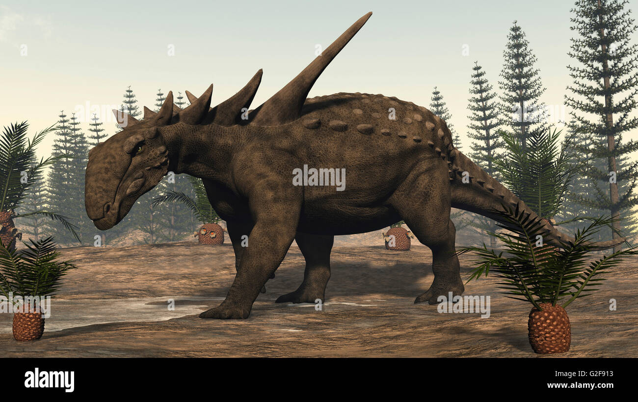 Cycadeoidea hi-res stock photography and images - Alamy