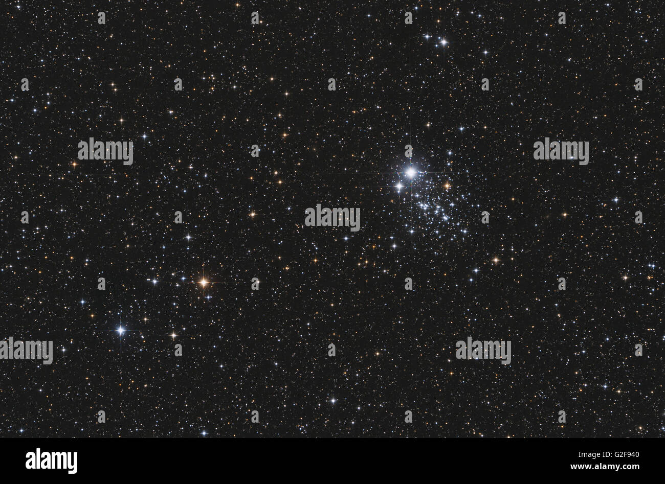 NGC 457, the Owl Cluster, in the constellation Cassiopeia Stock Photo - Alamy
