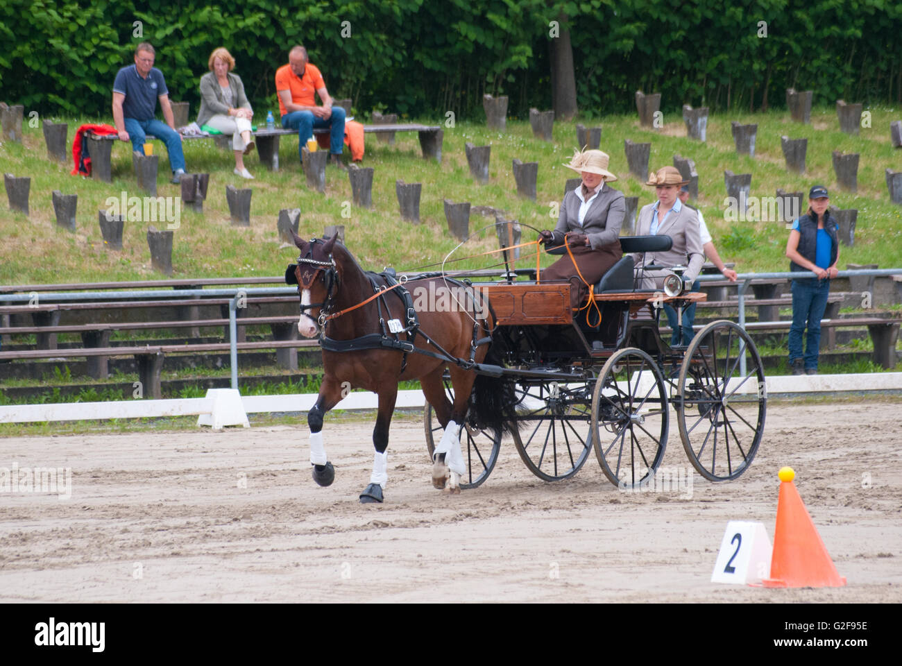 Obstacle course race of the international horse carriage coach racing ...