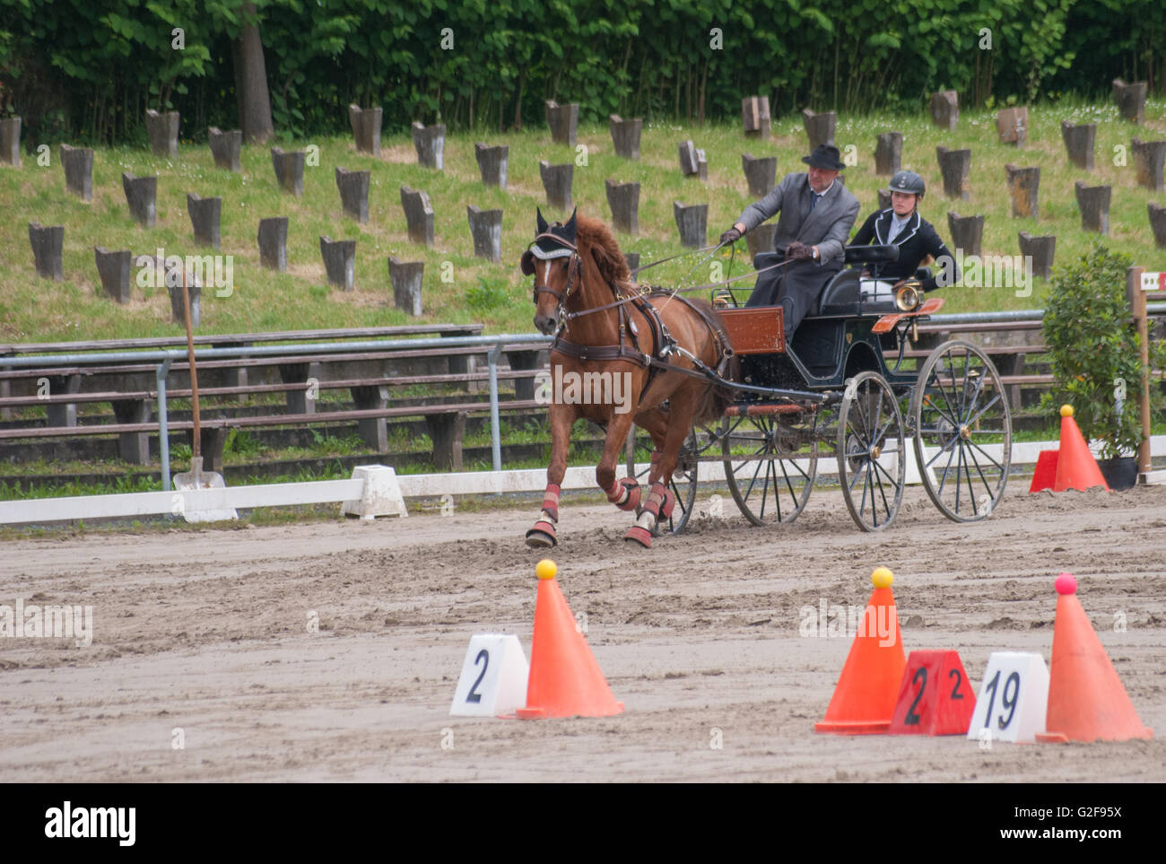 Obstacle course race of the international horse carriage coach racing ...