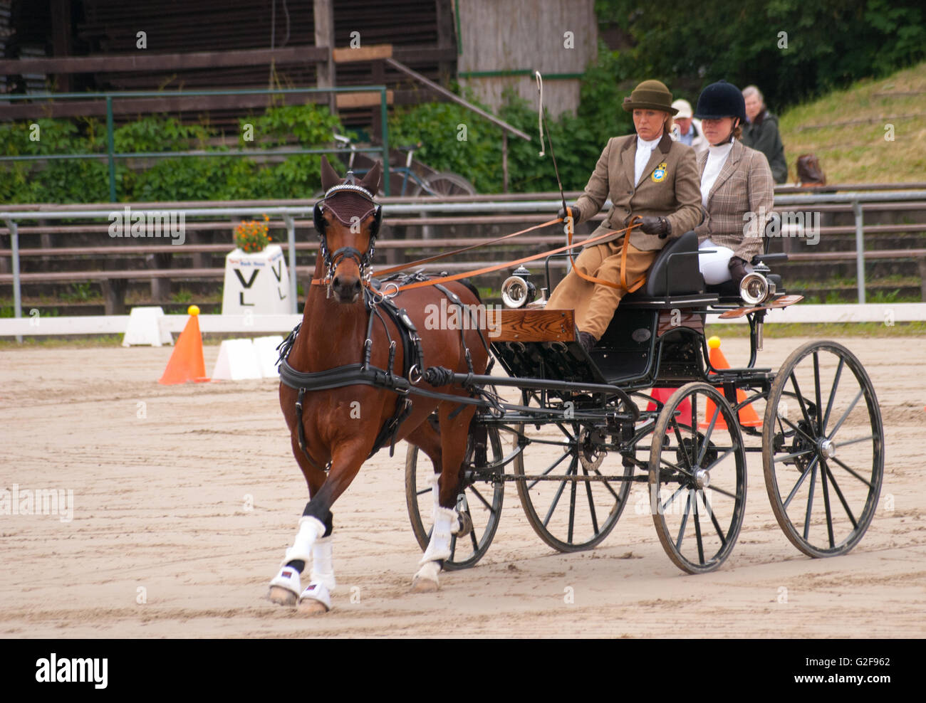 Obstacle course race of the international horse carriage coach racing ...