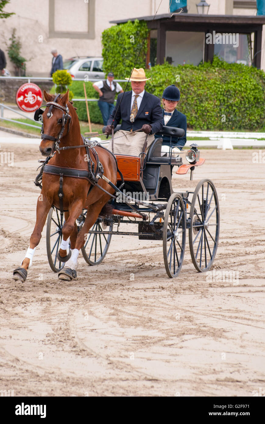Obstacle course race of the international horse carriage coach racing ...