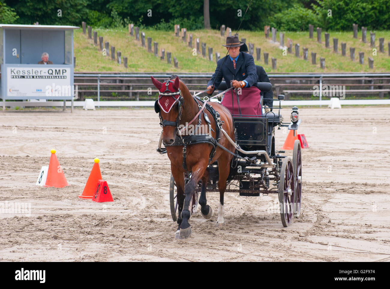 Obstacle course race of the international horse carriage coach racing ...
