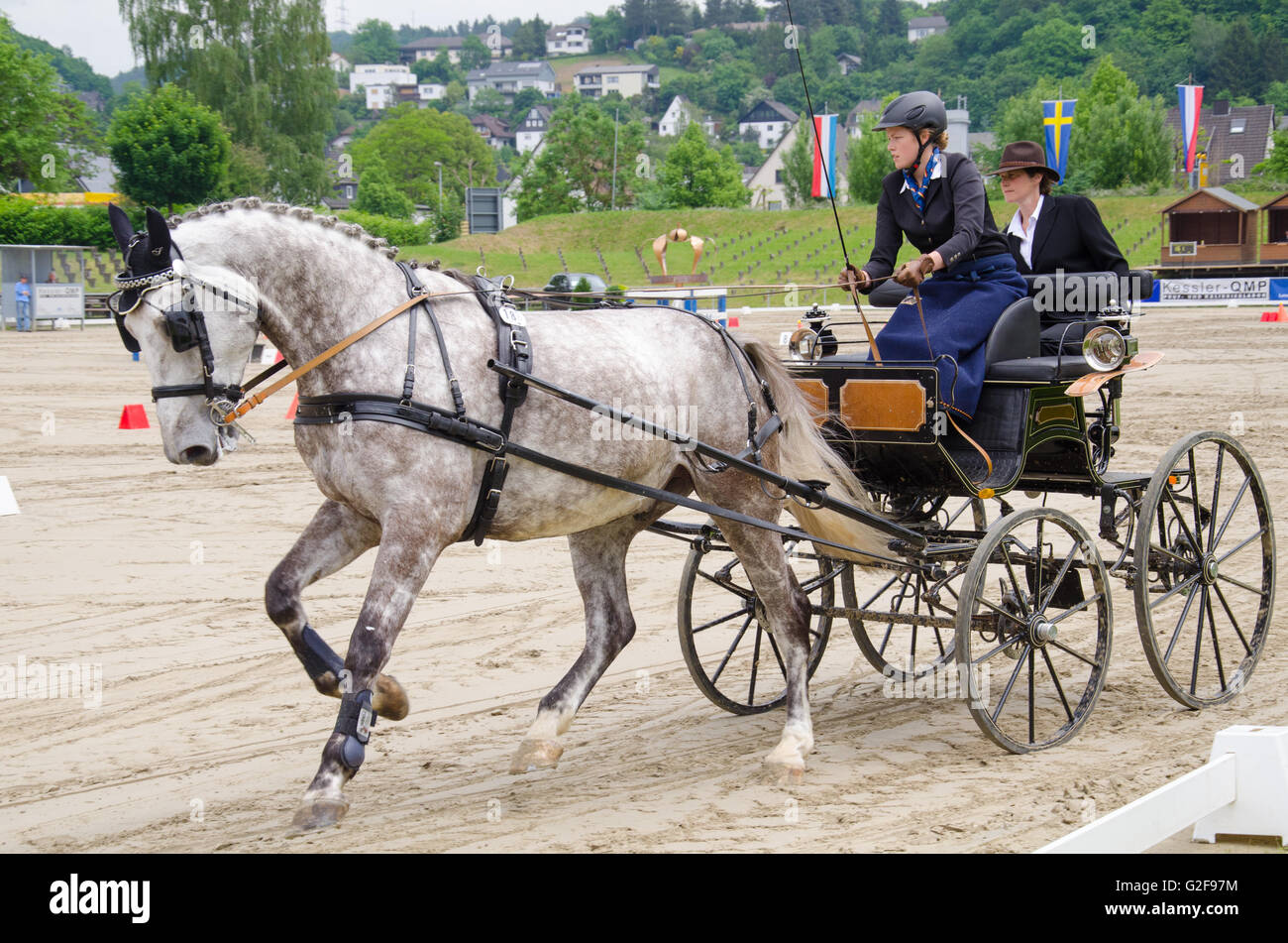 International carriage racing hi-res stock photography and images - Alamy