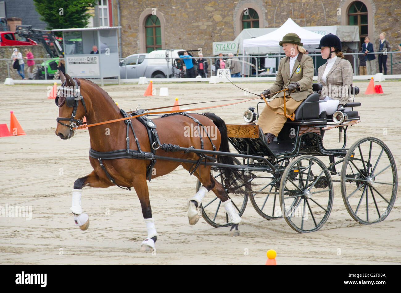 Obstacle course race of the international horse carriage coach racing ...