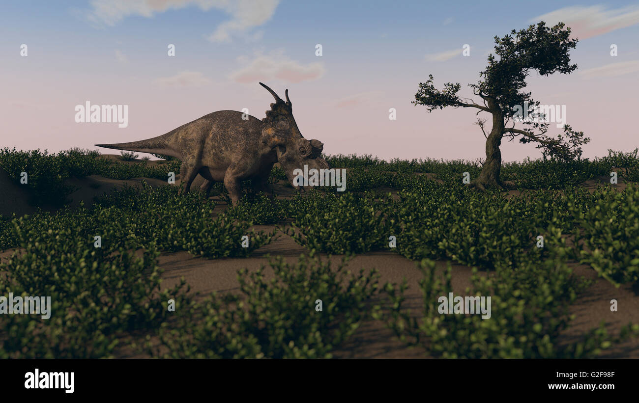 Achelousaurus walking amongst swamp grass Stock Photo - Alamy