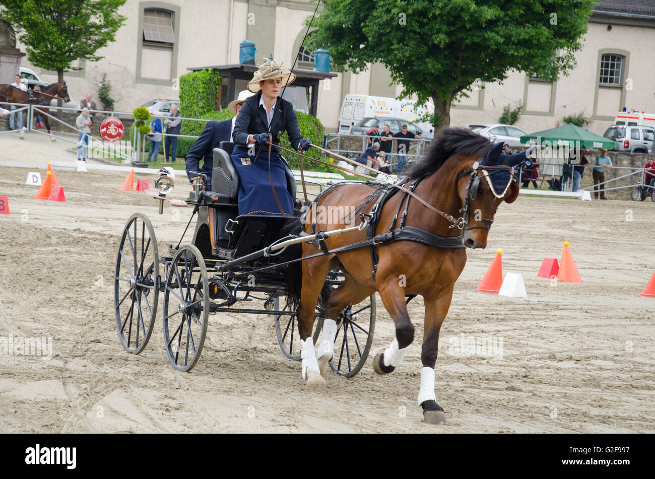 Obstacle course race of the international horse carriage coach racing ...