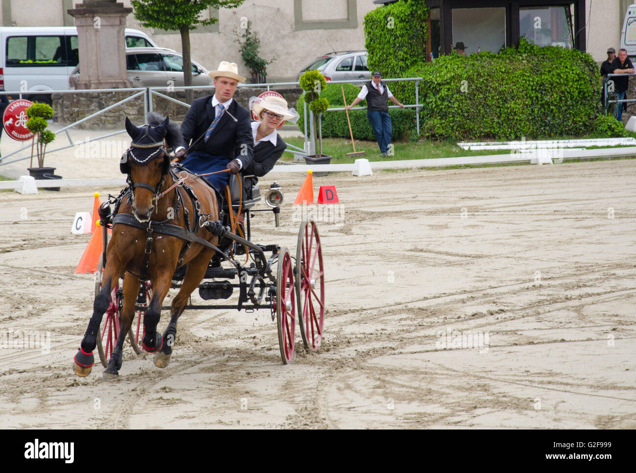 Obstacle course race of the international horse carriage coach racing ...