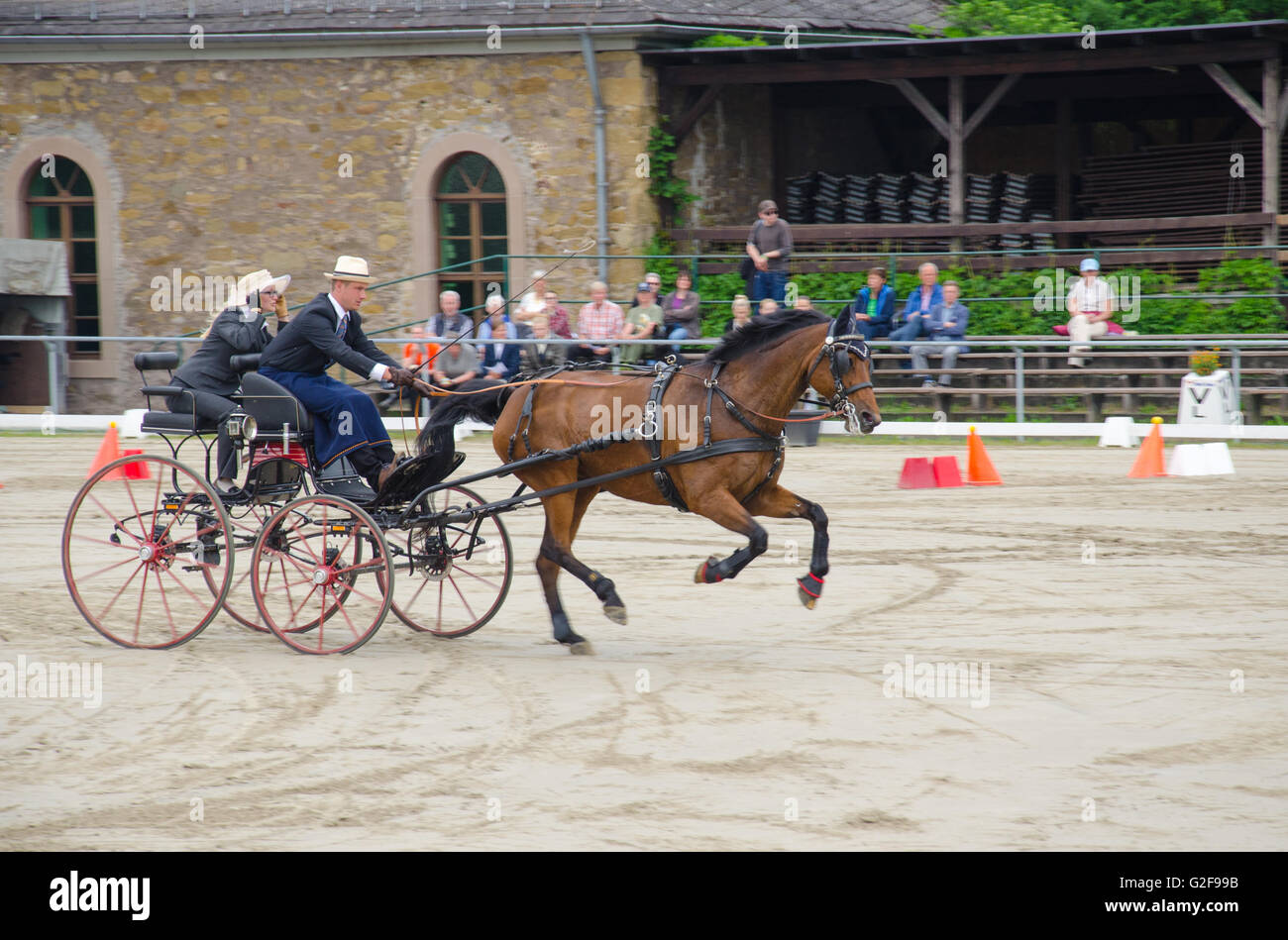 Obstacle course race of the international horse carriage coach racing ...