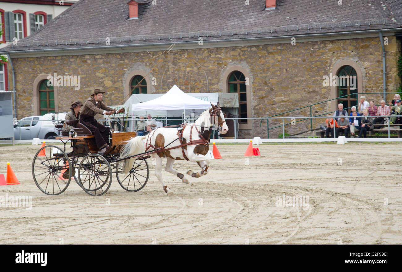 Obstacle course race of the international horse carriage coach racing ...