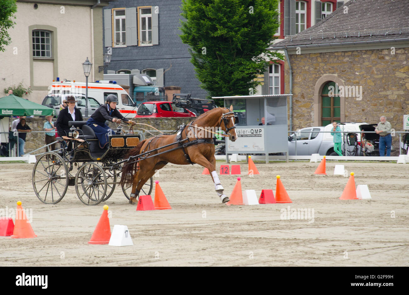 Obstacle course race of the international horse carriage coach racing ...