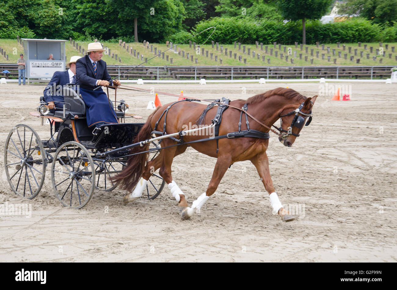 Obstacle course race of the international horse carriage coach racing ...