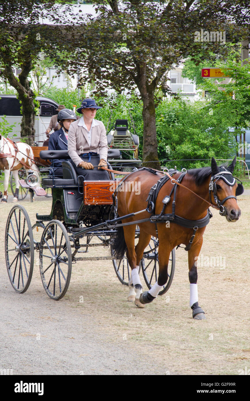 Coach ride at hi-res stock photography and images - Alamy