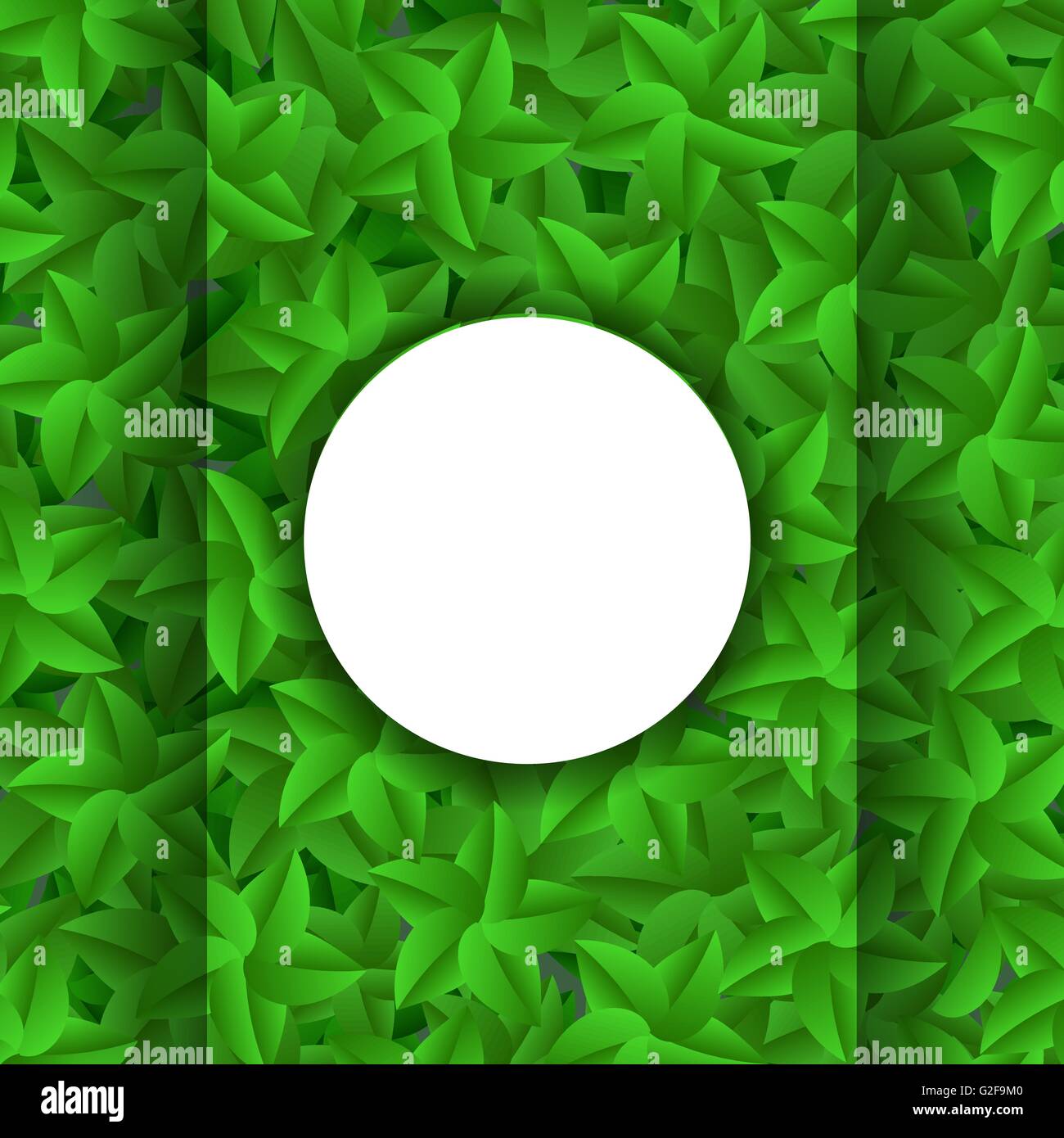 Green Leaves Pattern. Evergreen Hedgegrow Stock Vector Image & Art - Alamy