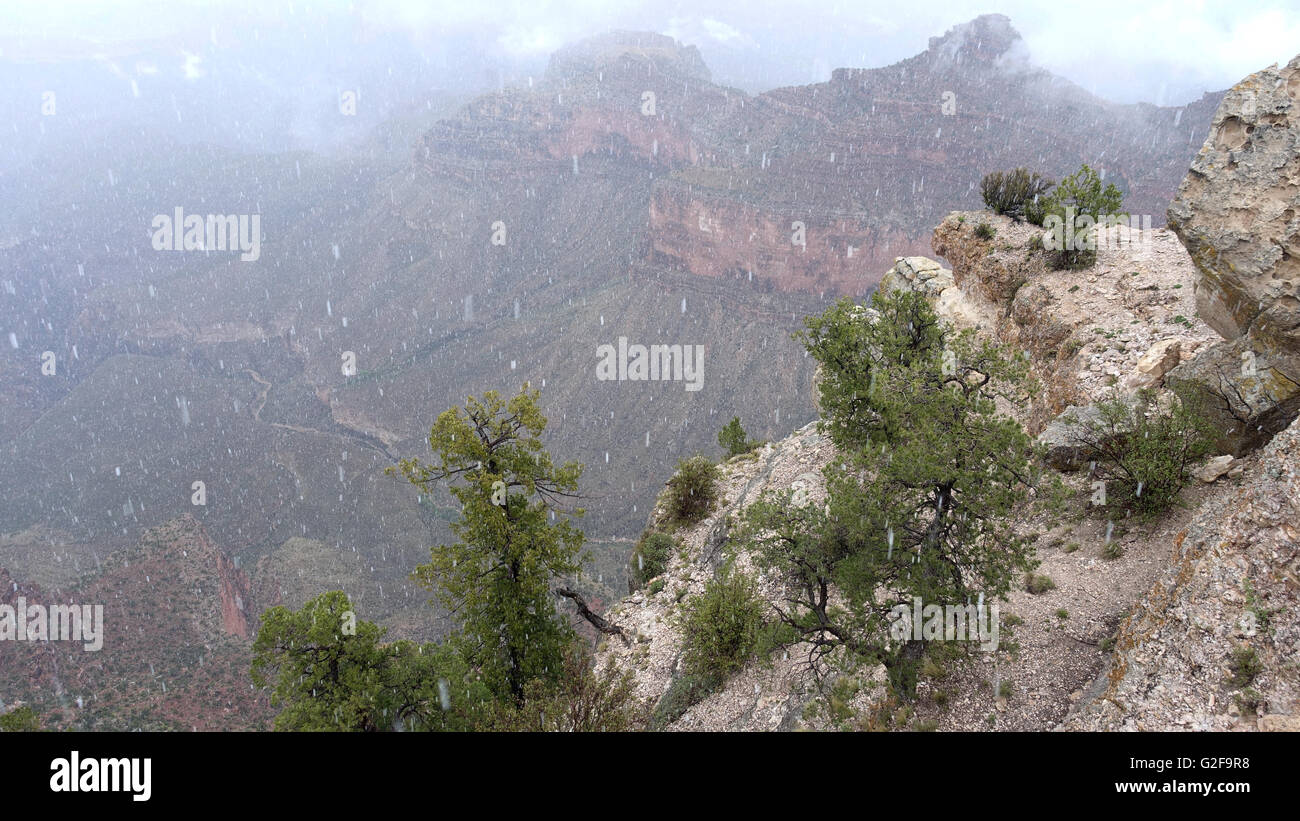Grand Canyon South Rim National Park, Arizona USA Stock Photo - Alamy