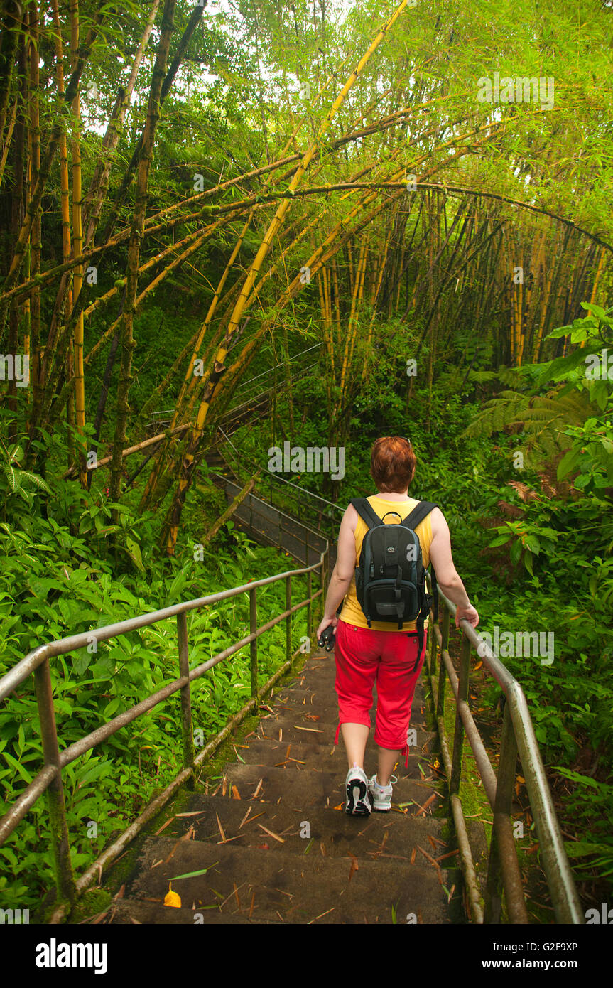 Woman takes walk through hi-res stock photography and images - Alamy