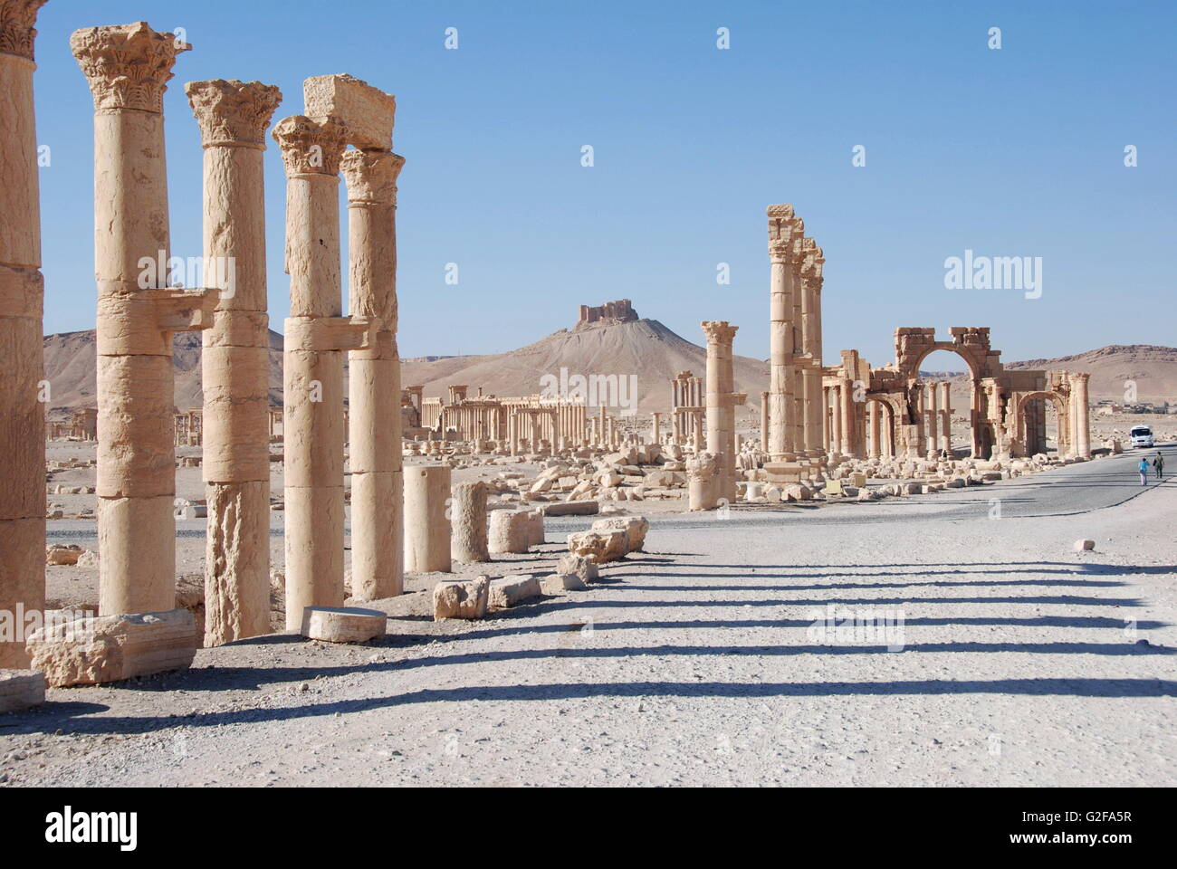 Palmyra - Great Colonnade Stock Photo - Alamy