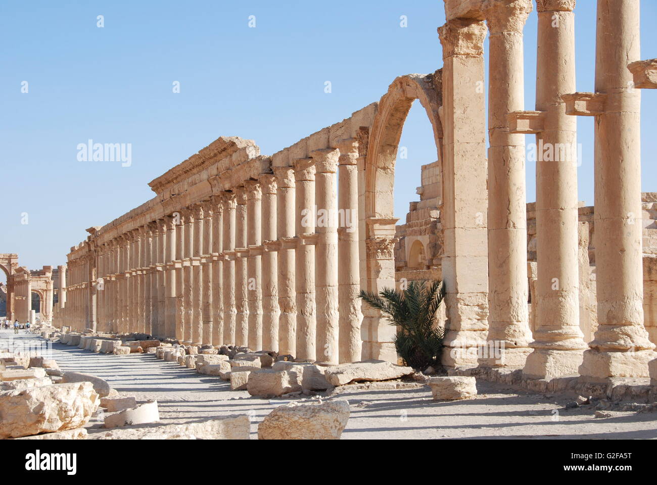 Palmyra - Great Colonnade Stock Photo - Alamy