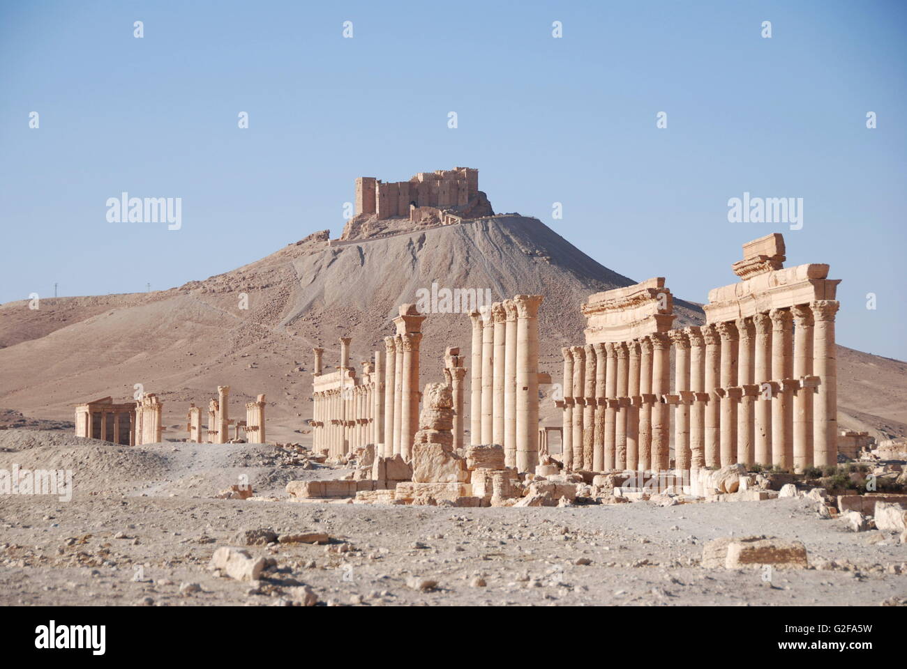Palmyra - Great Colonnade Stock Photo - Alamy