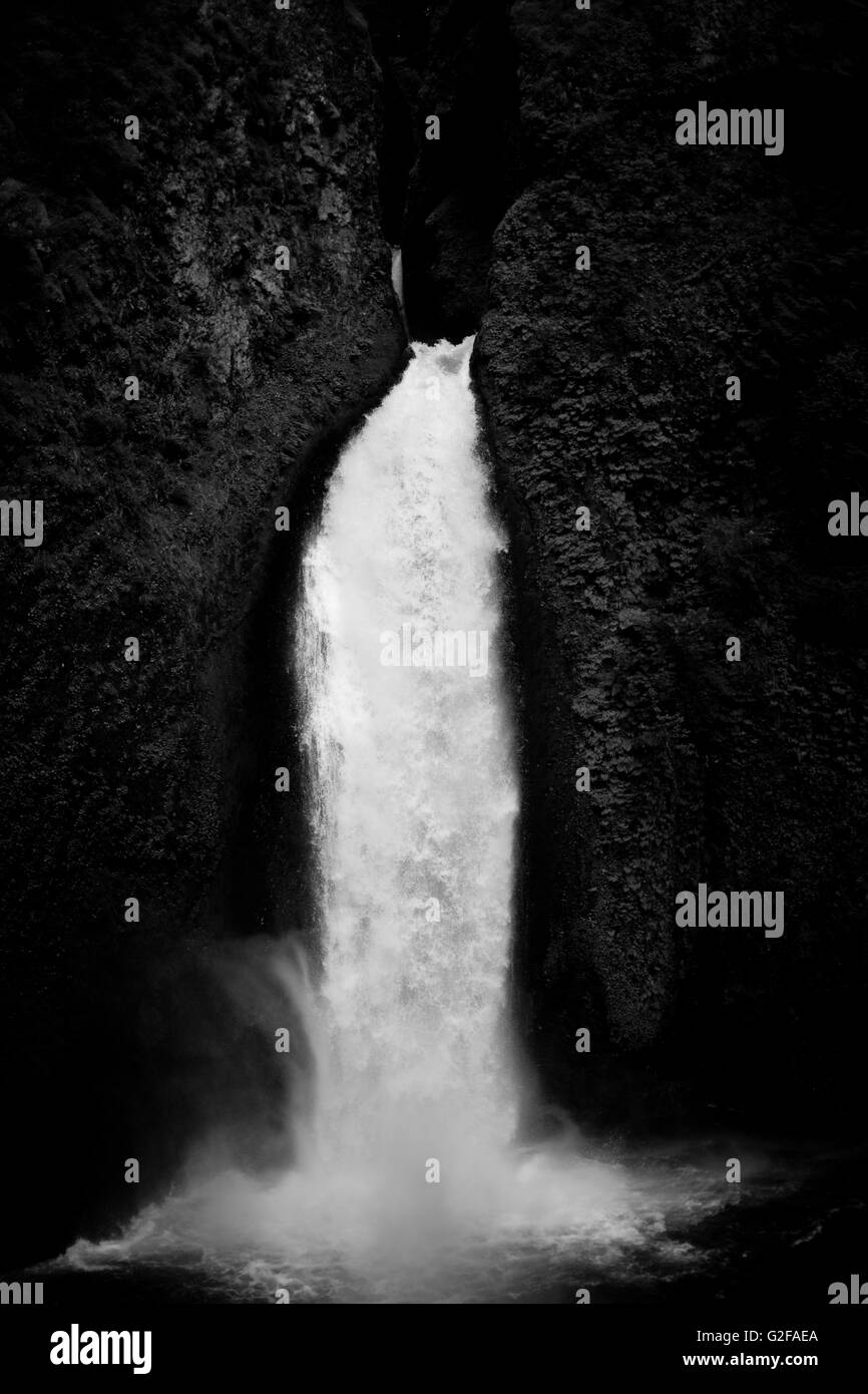 Between two trees Black and White Stock Photos & Images - Alamy