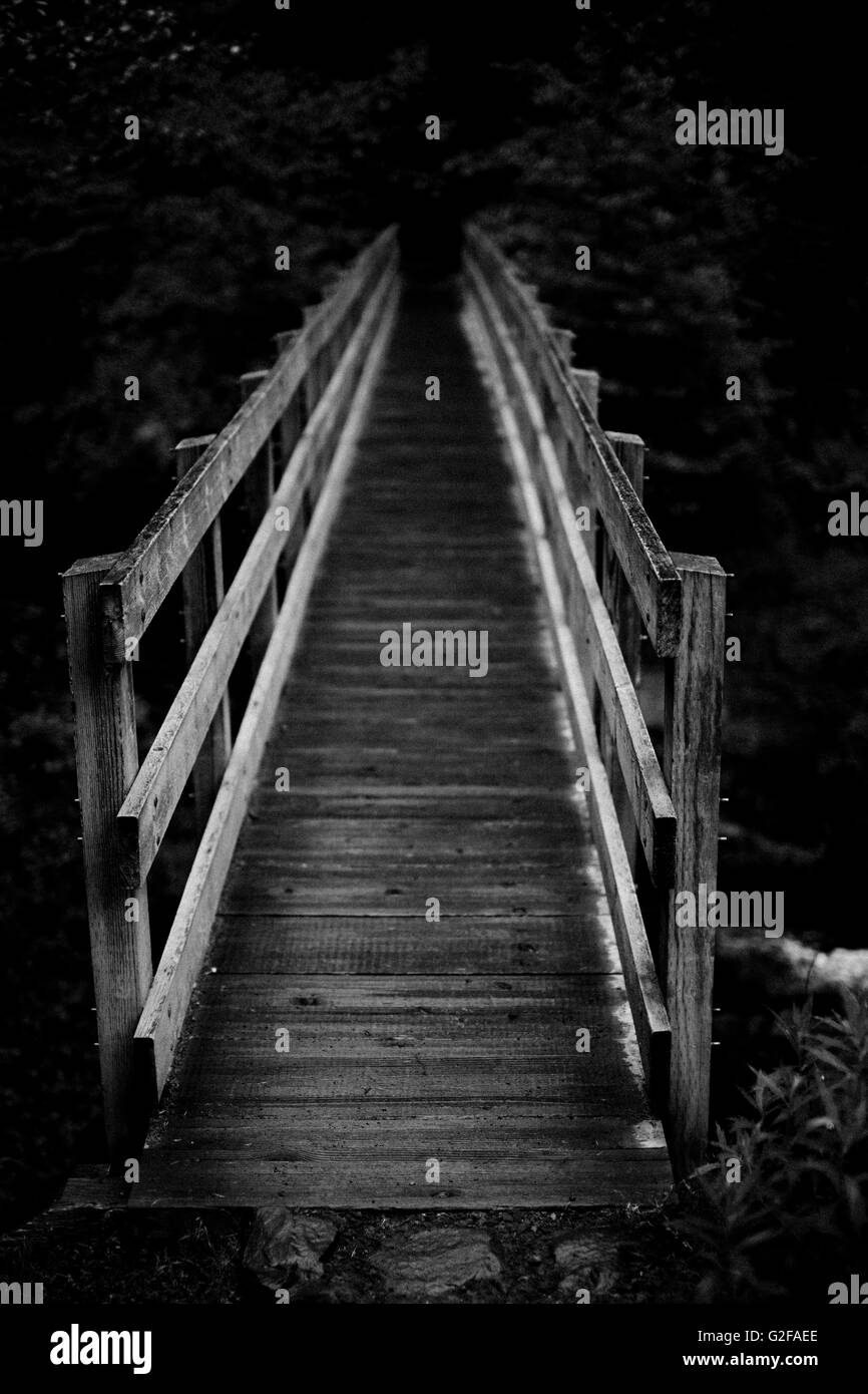 Wood path footbridge Black and White Stock Photos & Images - Alamy