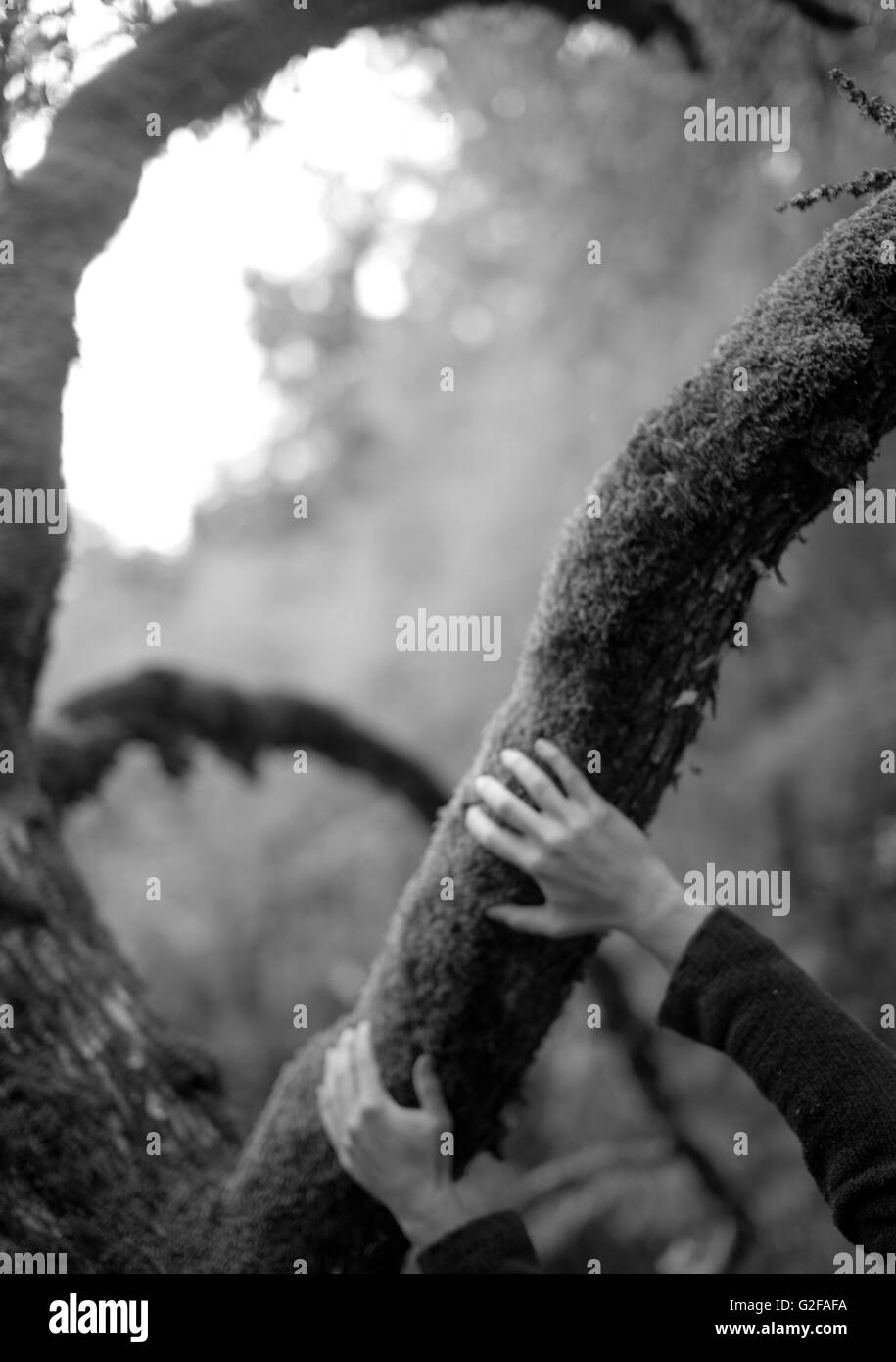 Man reaching up Black and White Stock Photos & Images - Alamy