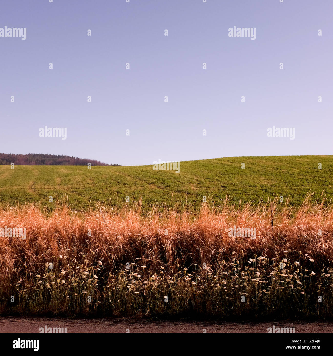 Rolling field hi-res stock photography and images - Alamy