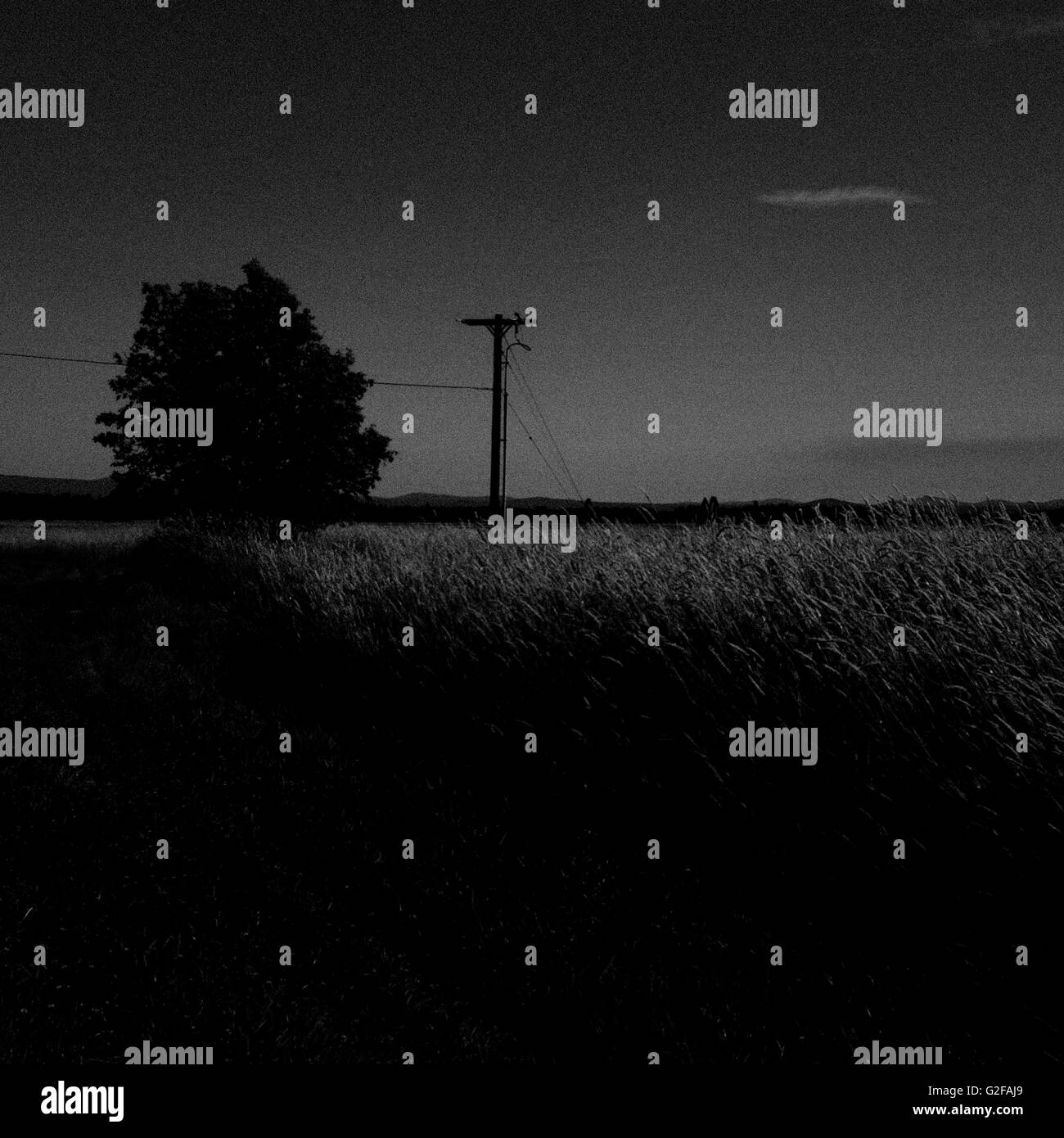 Wheat Field at Night, Washiginton, USA Stock Photo - Alamy
