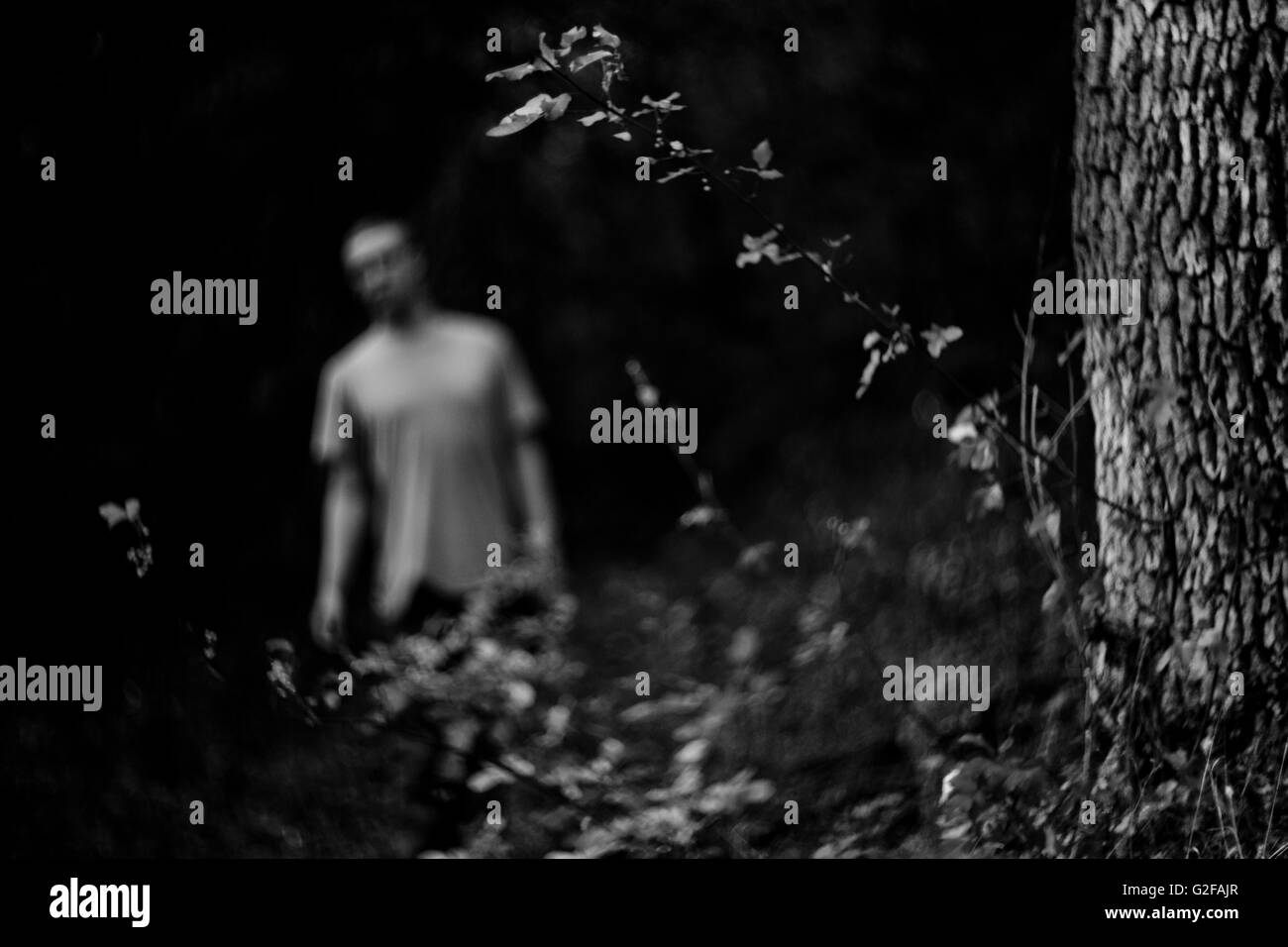 Man forest one person Black and White Stock Photos & Images - Alamy