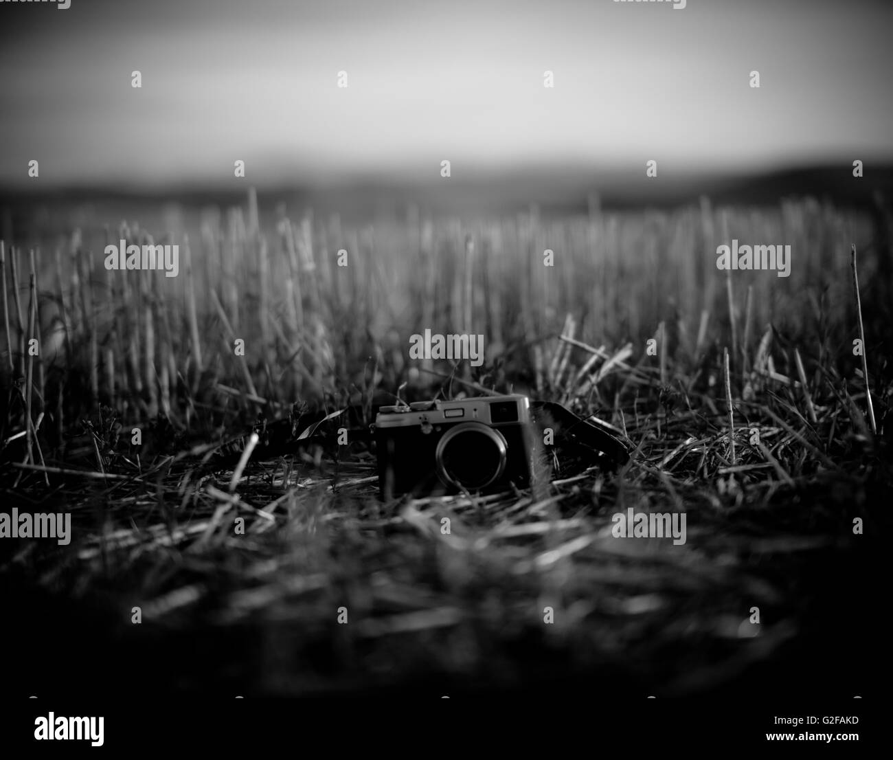 Camera in Field, Selective Focus Stock Photo - Alamy