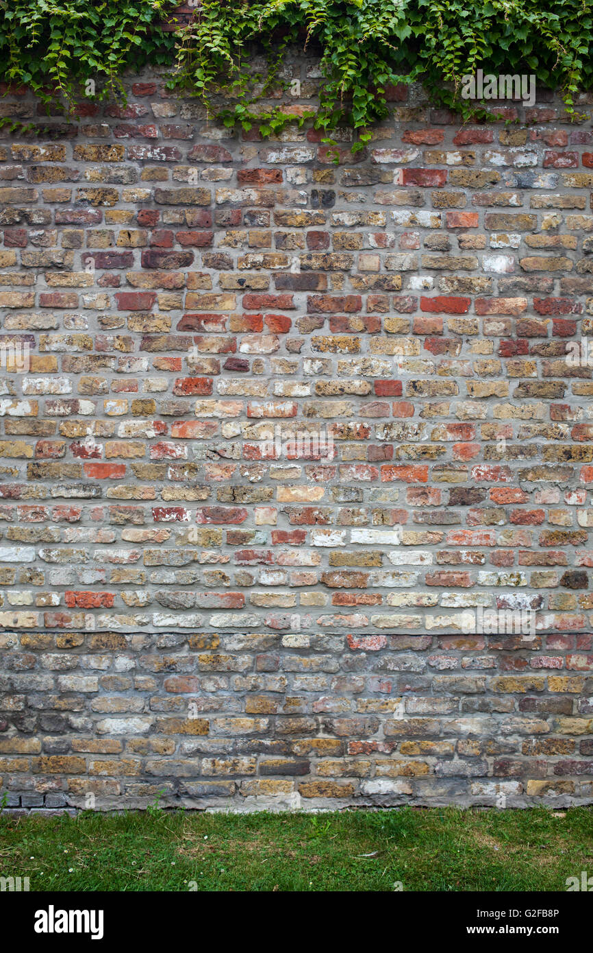 Old brick wall leaves hi-res stock photography and images - Alamy