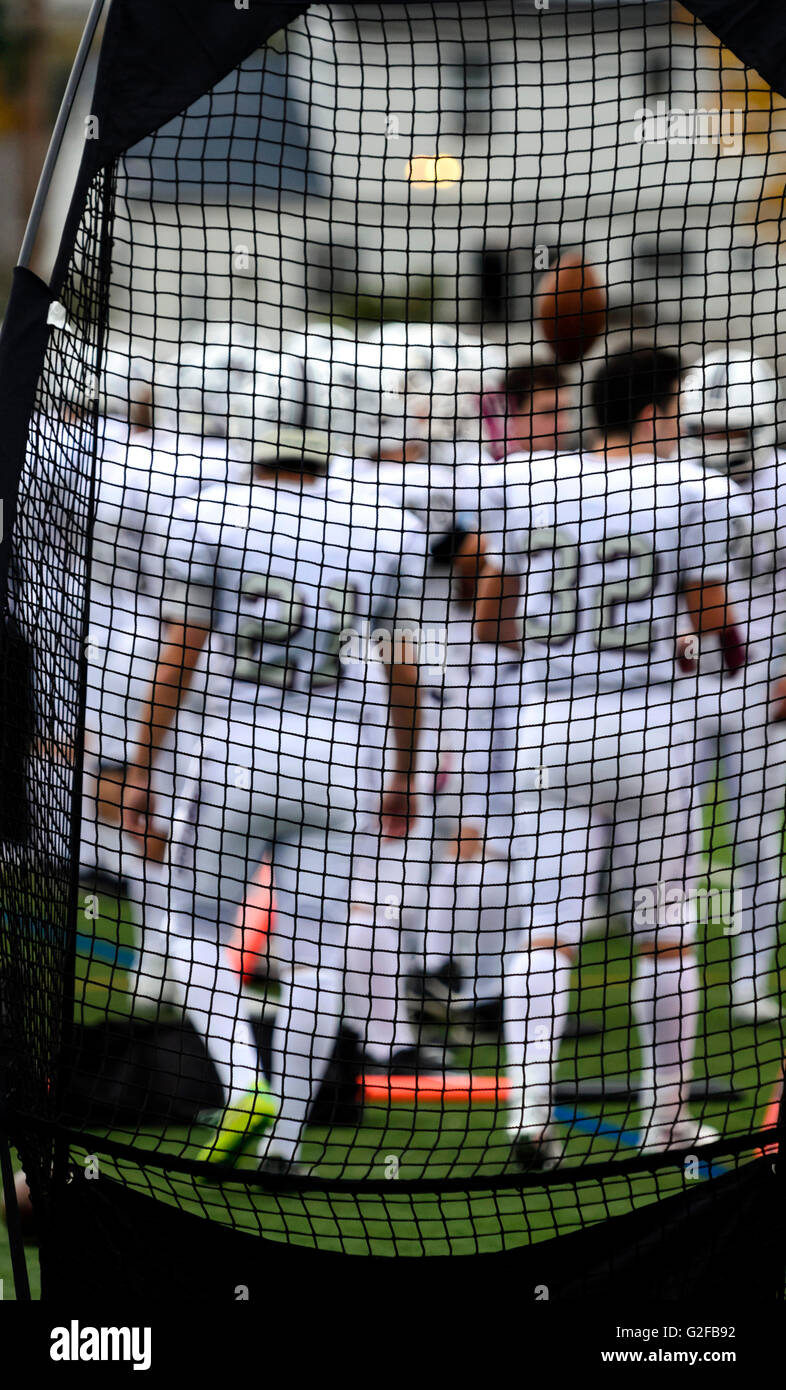 Football players seen through punter's practice net Stock Photo - Alamy