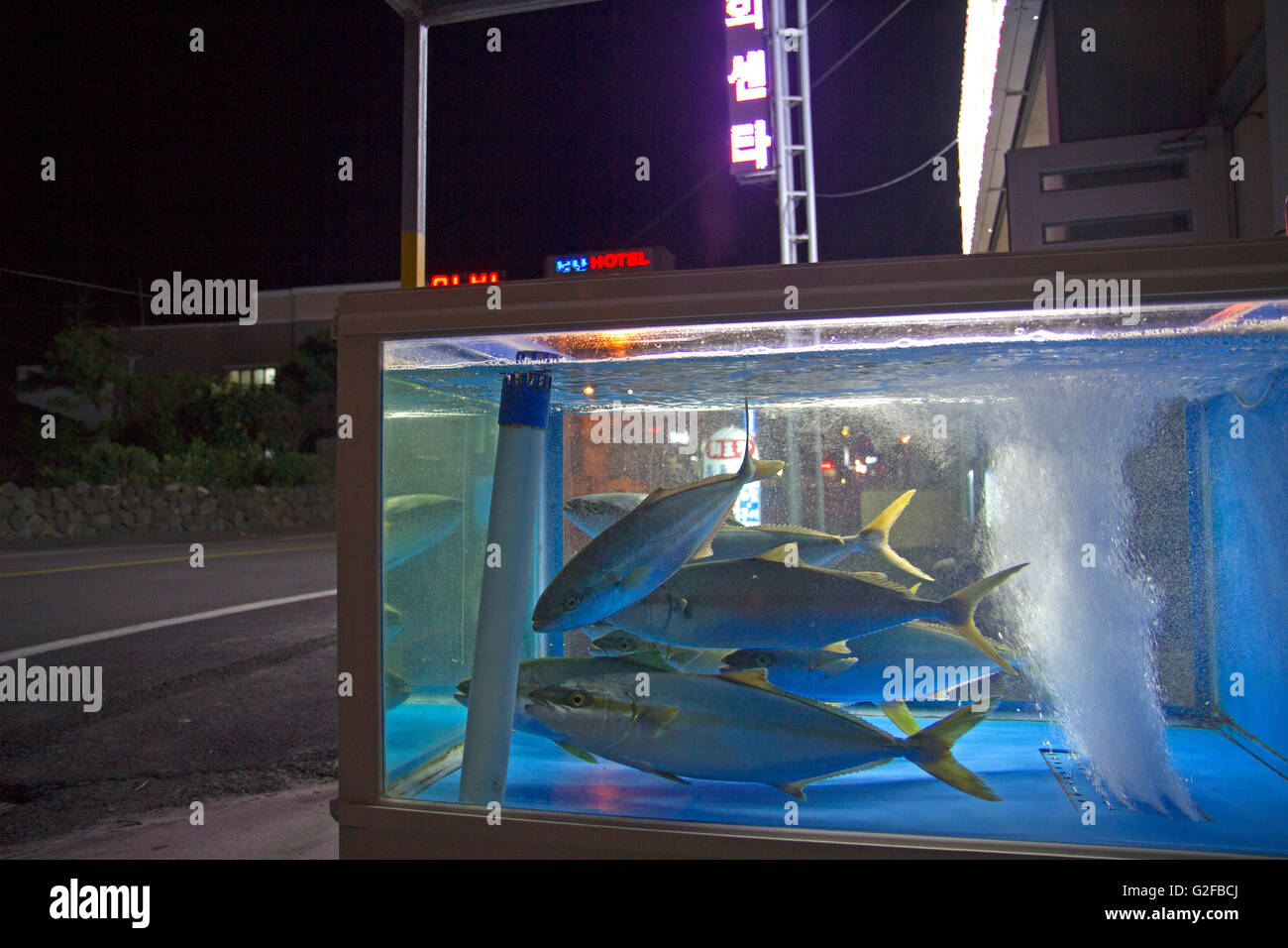 Restaurant Fish Tank High Resolution Stock Photography and Images - Alamy