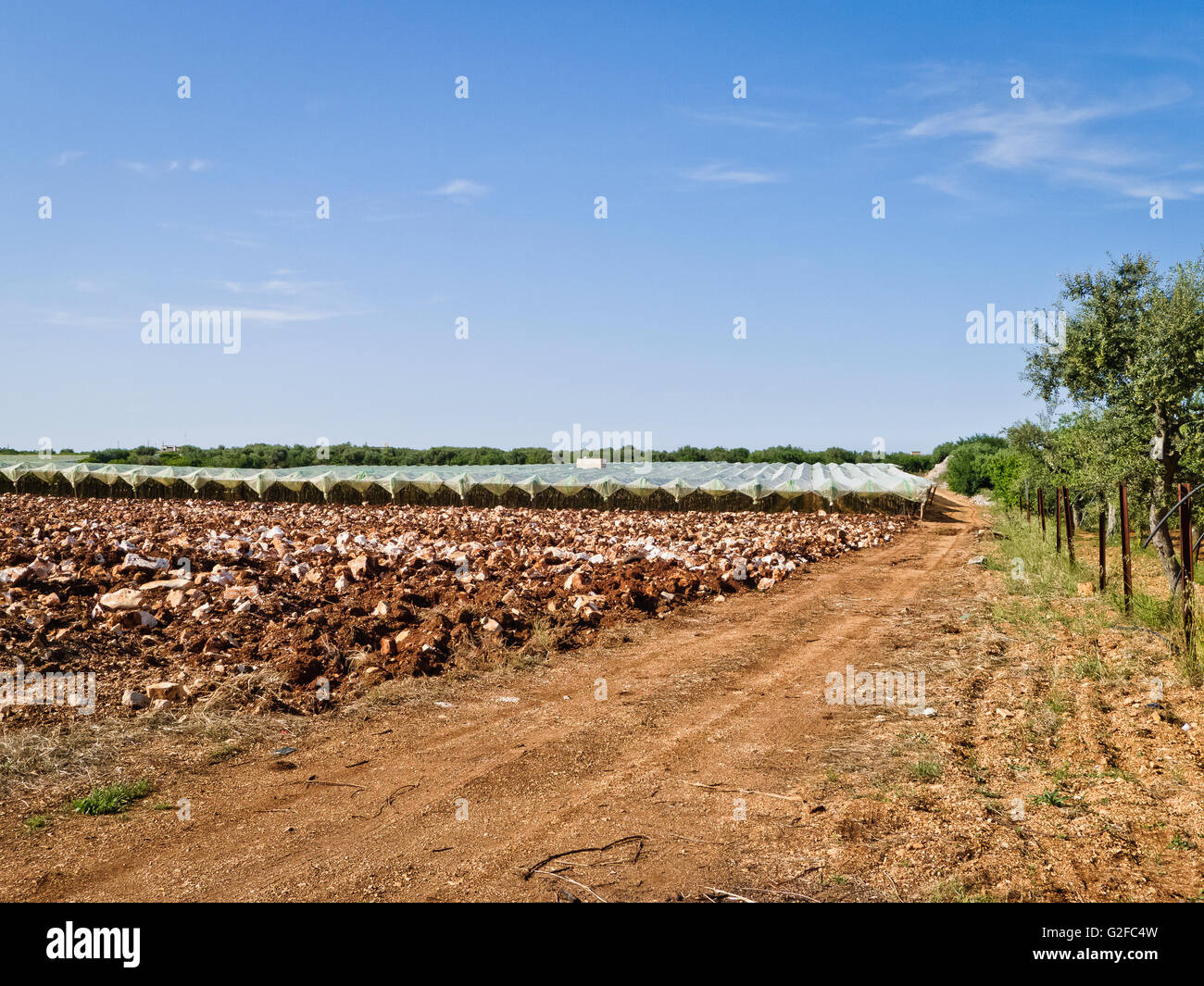 Flat agricultural landscape hi-res stock photography and images - Alamy
