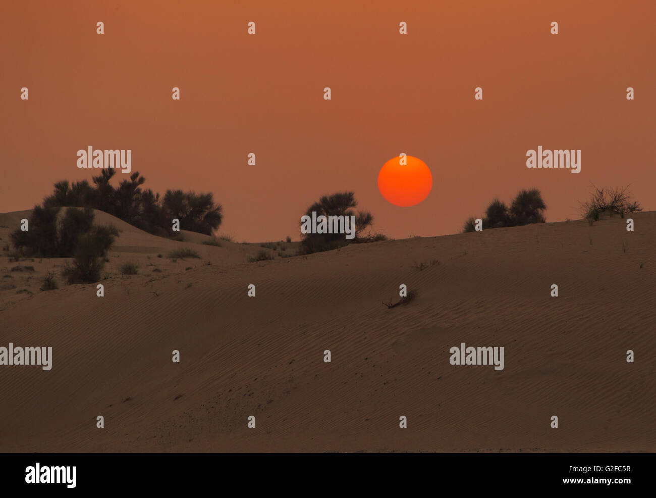 Dark desert hi-res stock photography and images - Alamy
