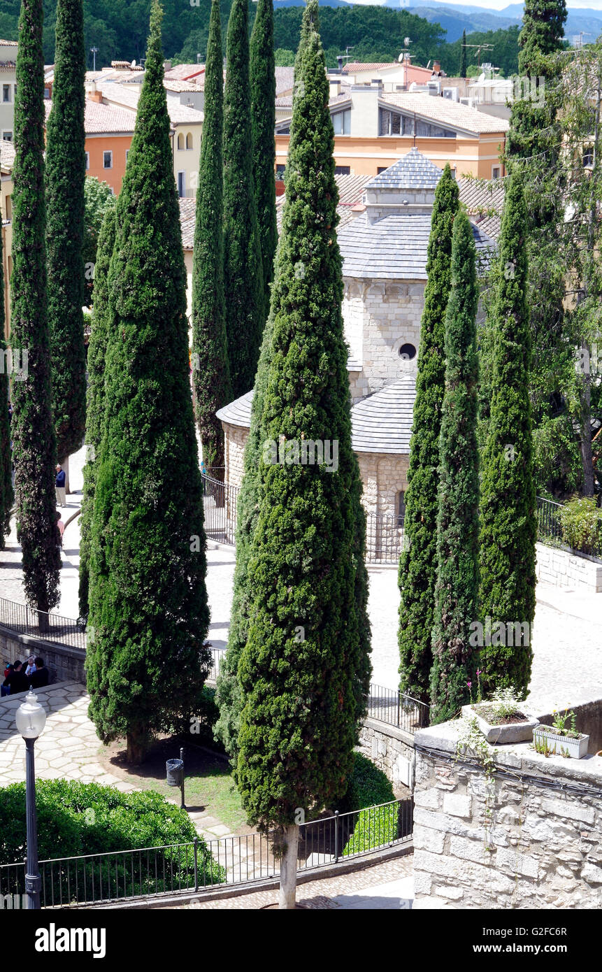 Girona, Spain, Trees Apse & roofs of San Nicholas Stock Photo - Alamy