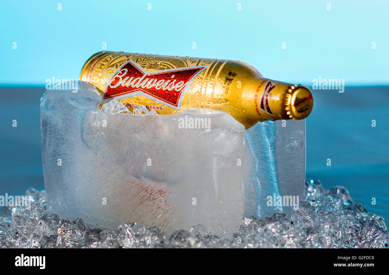 Budweiser bud ice beer hi-res stock photography and images - Alamy