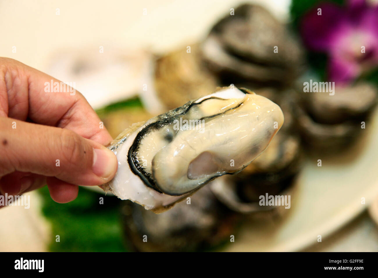 Kenting Street night market Kenting street oyster seafood Stock Photo ...