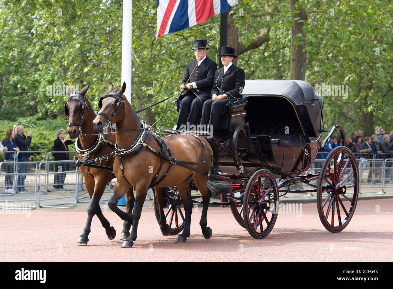 One Horse Open Carriage New Horse Carriages | Midwest Custom Carriages