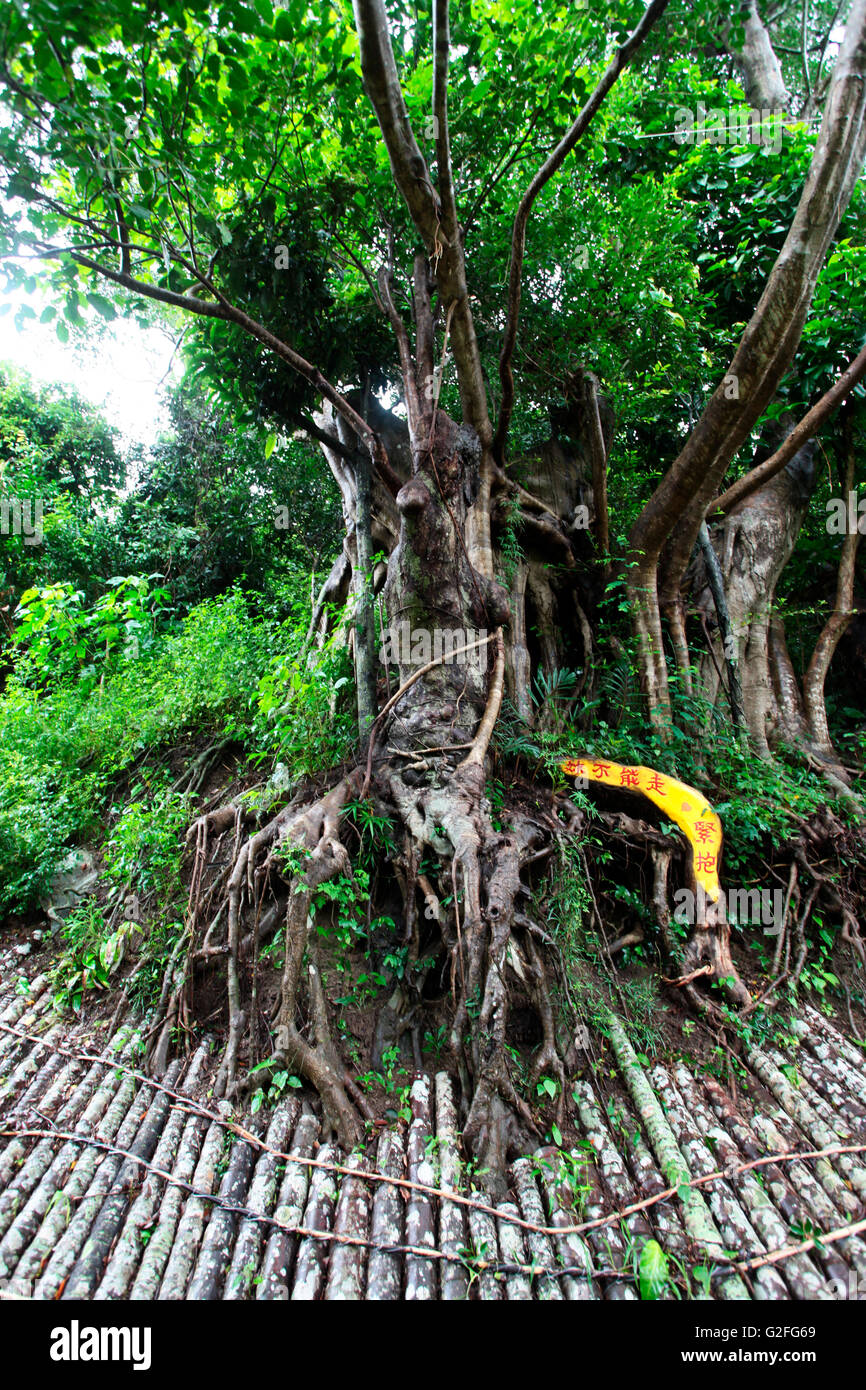 Lan Ren Xi Waterfalls Stock Photo - Alamy
