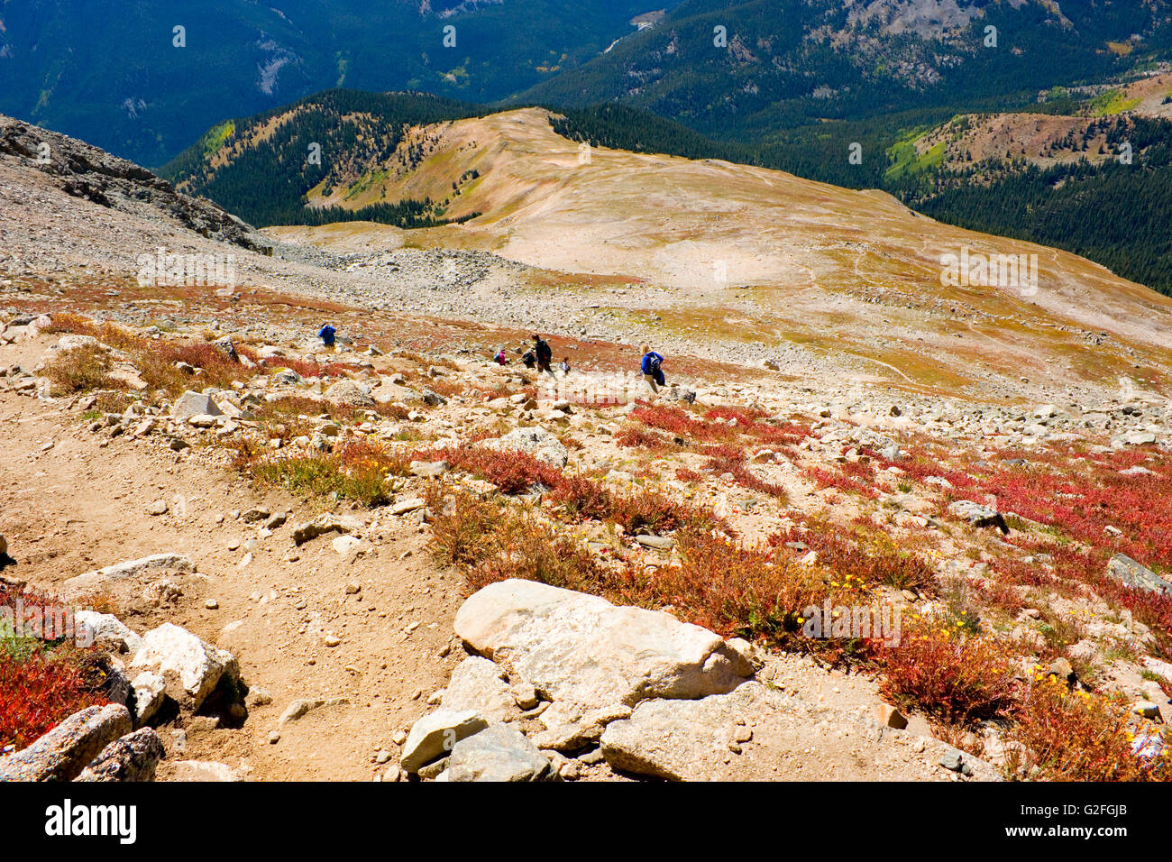 Hikers near summit mount hi-res stock photography and images - Alamy