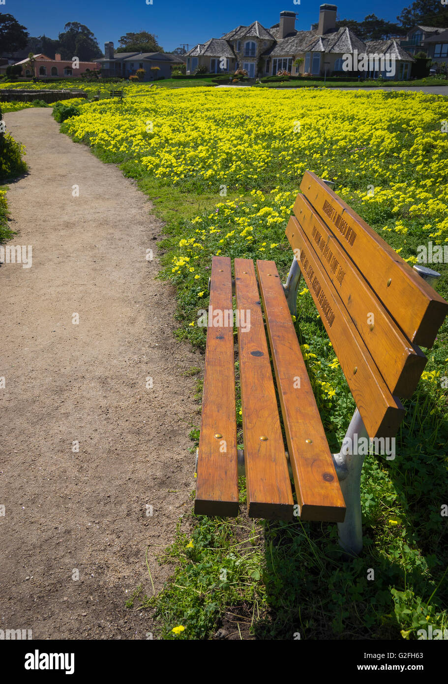 Bench at a coastal walk in Monterey ,California Stock Photo - Alamy
