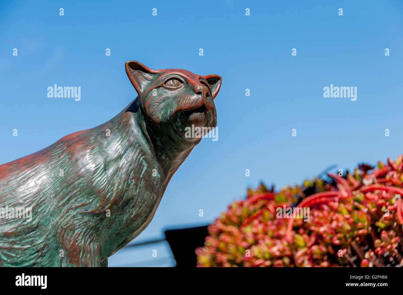 Leroy the cat sculpture by Will Richards, honoring the cat who owned ...
