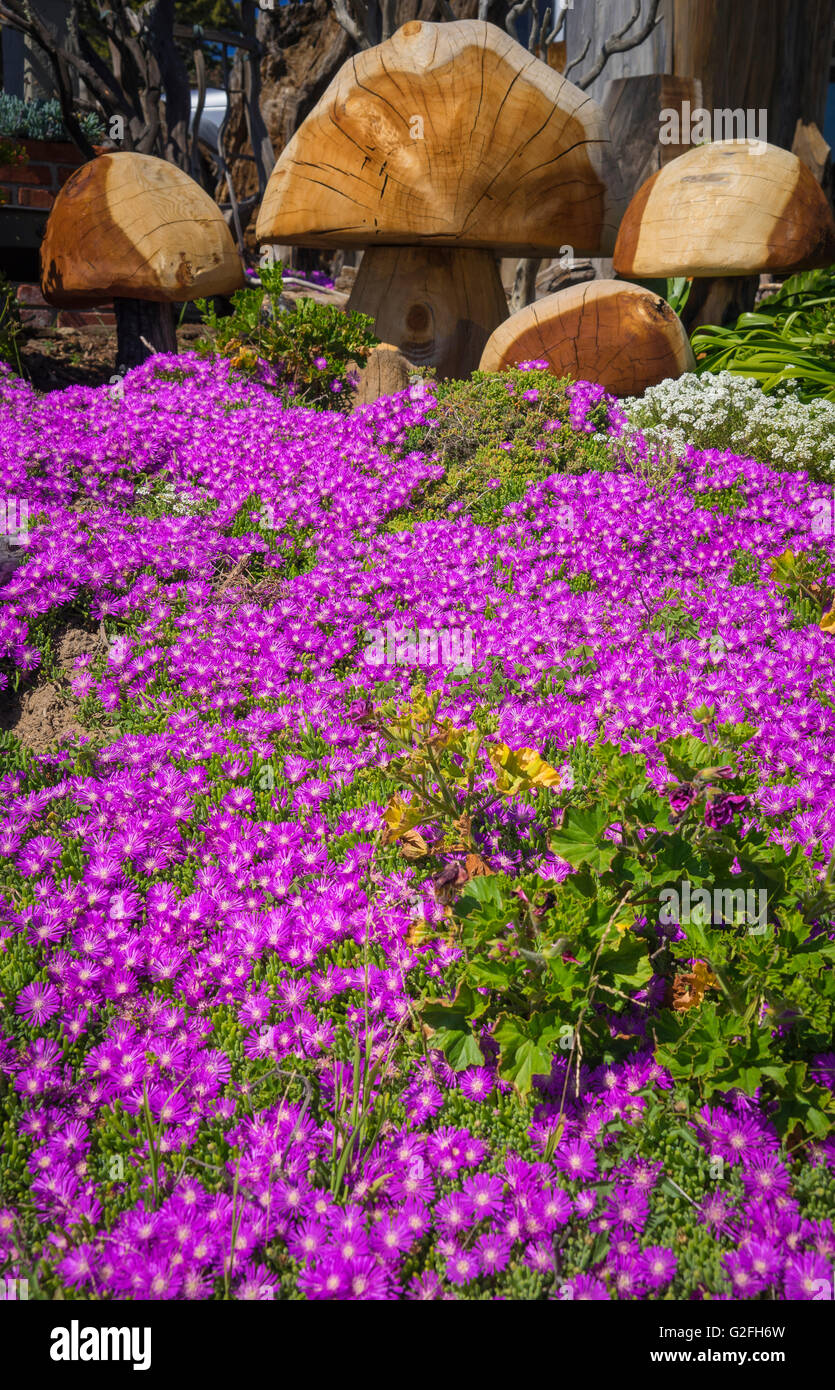purple explosion of color,flowers in full bloom Stock Photo - Alamy