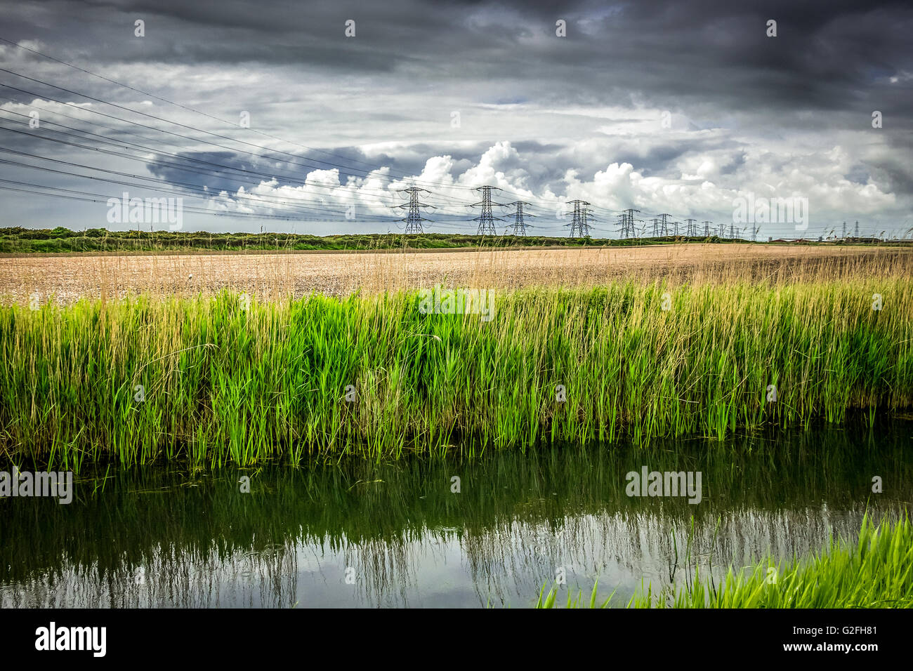 Dungeness RSPB wildlife reserve marsh land with electricity pylons in ...