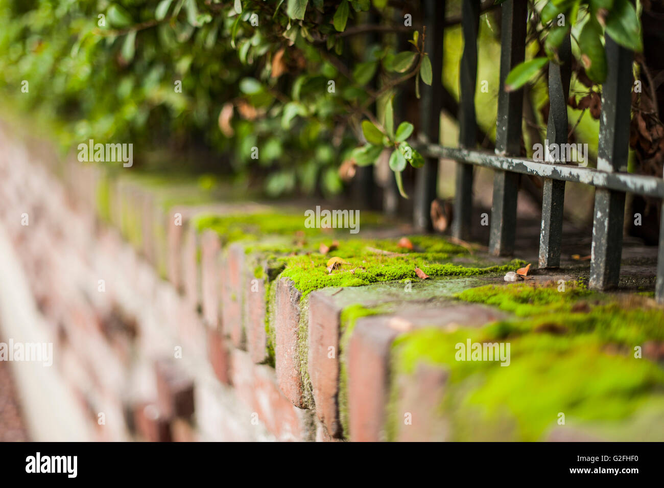 Bricks With Moss High Resolution Stock Photography and Images - Alamy