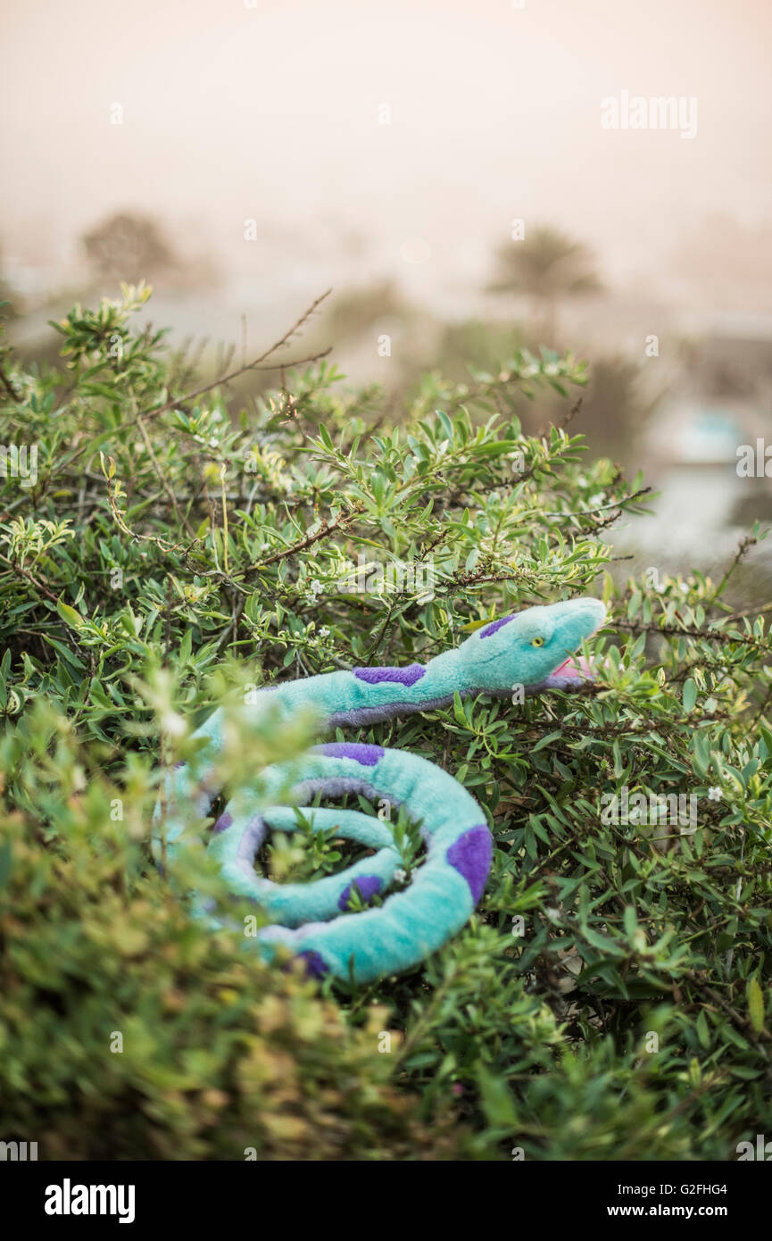 Stuffed snake hi-res stock photography and images - Alamy